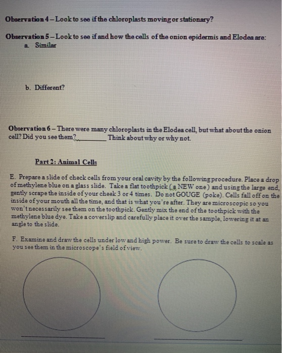 Solved Observation4-Look to see if the chloroplasts movingor | Chegg.com