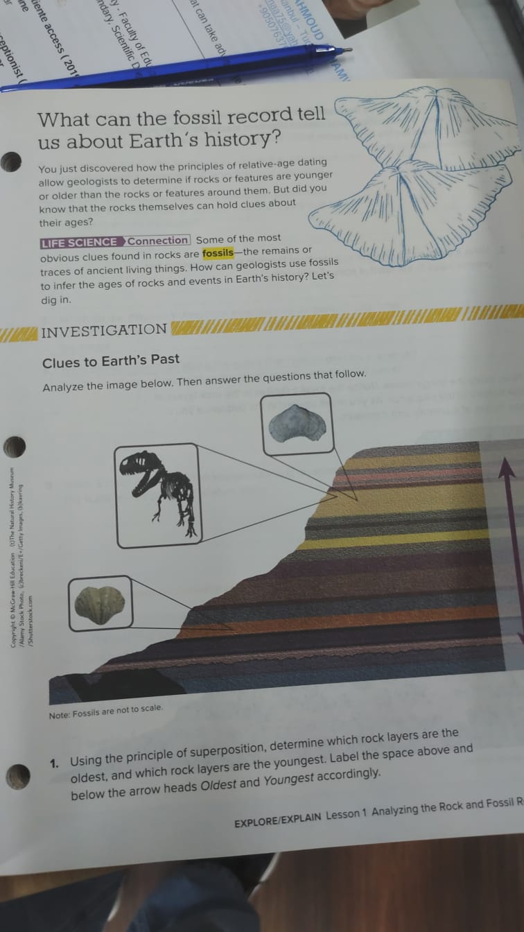 Solved What can the fossil record te us about Earth's | Chegg.com