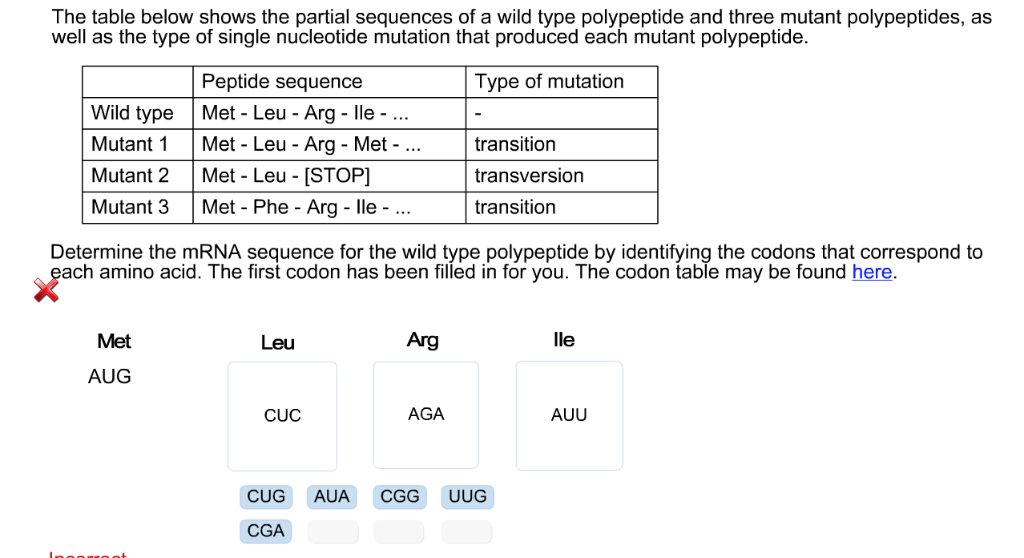 Solved The table below shows the partial sequences of a wild | Chegg.com