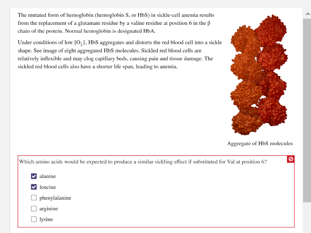 Solved The mutated form of hemoglobin (hemoglobin S, or HbS) | Chegg.com