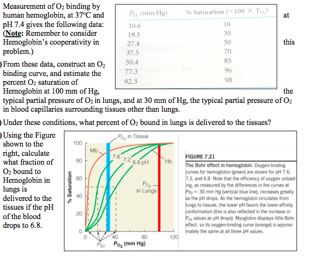 Solved Measurement of O2 binding by human hemoglobin, at | Chegg.com