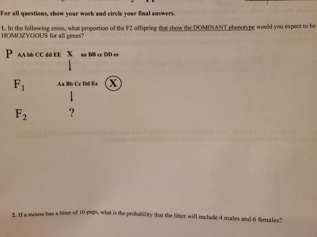 Solved For all questions, show your work and circle your | Chegg.com