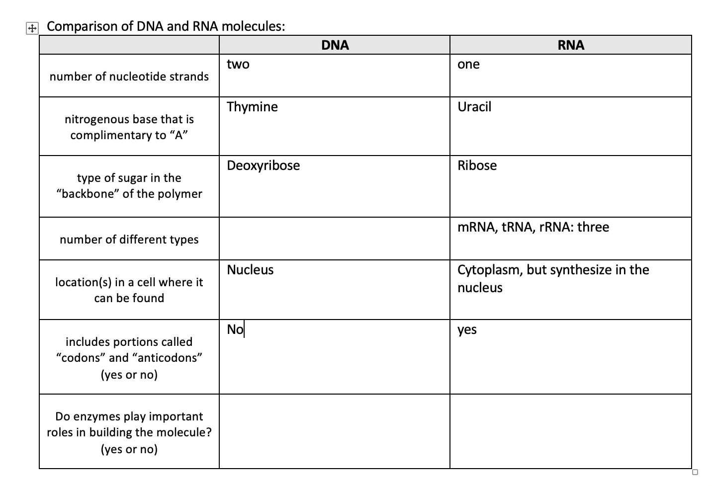Solved + Comparison of DNA and RNA molecules: DNA RNA two | Chegg.com