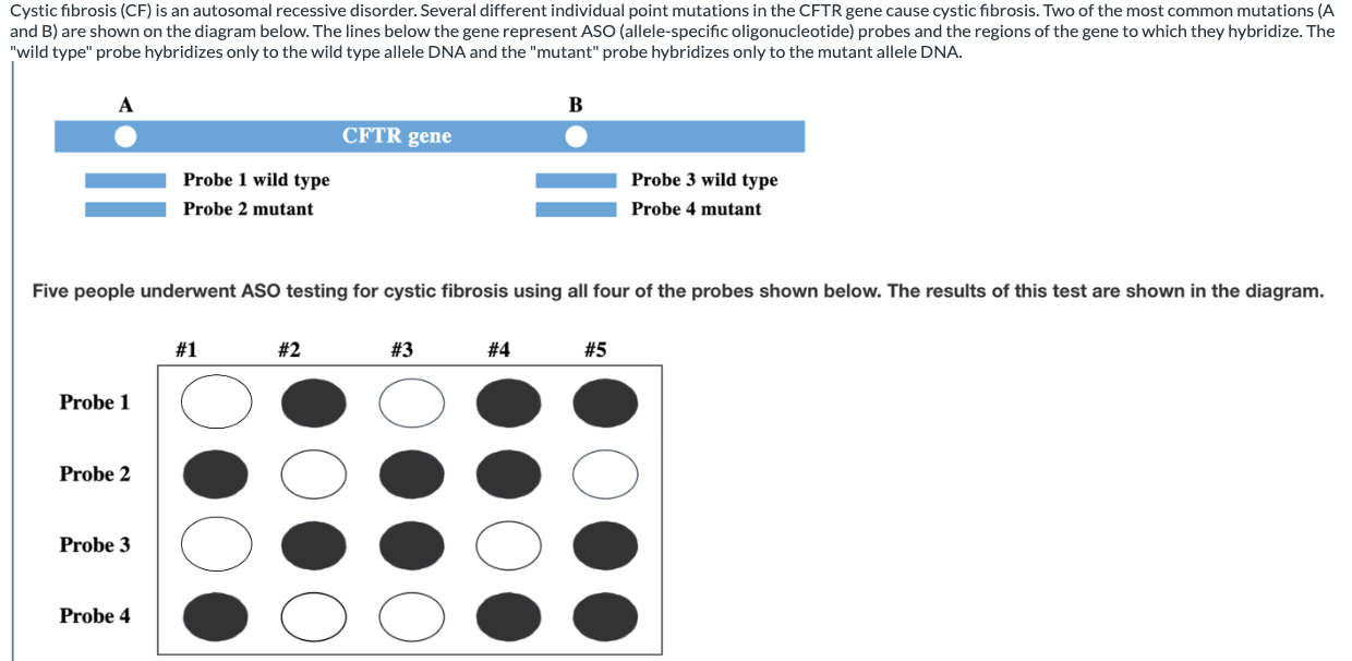 You test a 6th individual who has cystic fibrosis | Chegg.com