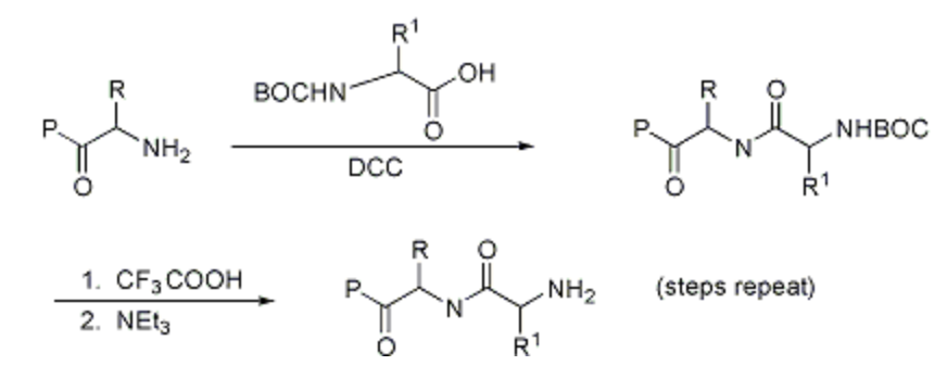 Solved BOCHN NHBOC NH2 DCC R1 4. C.Com 1. CF3COOH 2. NE | Chegg.com