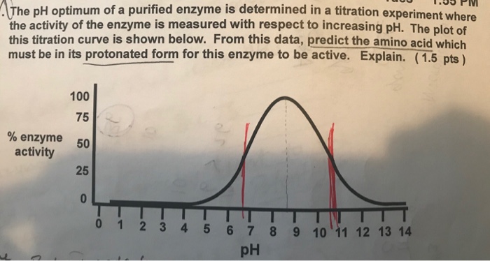 Solved The pH optimum of a purified enzyme is determined in | Chegg.com