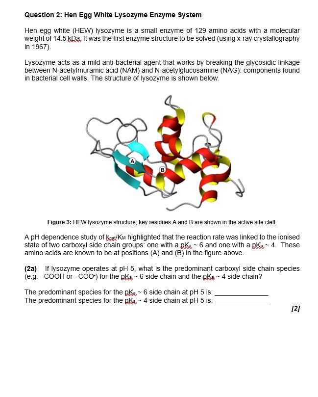 Solved Question 1: HIV Protease Enzyme System Human | Chegg.com Solved Question 1: HIV Protease Enzyme System Human | Chegg.com