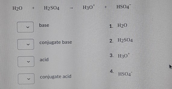 Solved H20 + H2SO4 H30 + HS04 base 1. H20 conjugate base 2. | Chegg.com