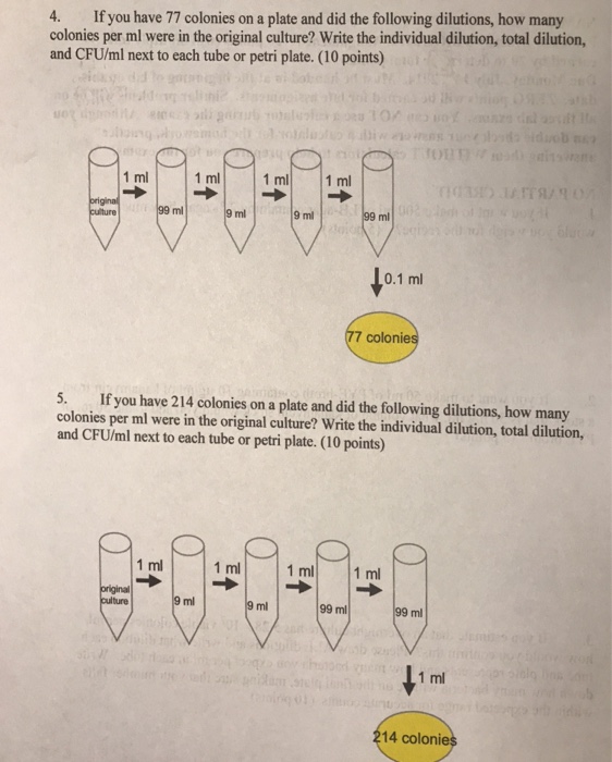 Solved 4. If you have 77 colonies on a plate and did the | Chegg.com