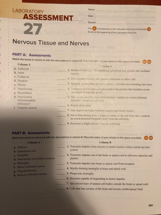 Solved LABORATORY Name Date Section ASSESSMENT 27 The | Chegg.com