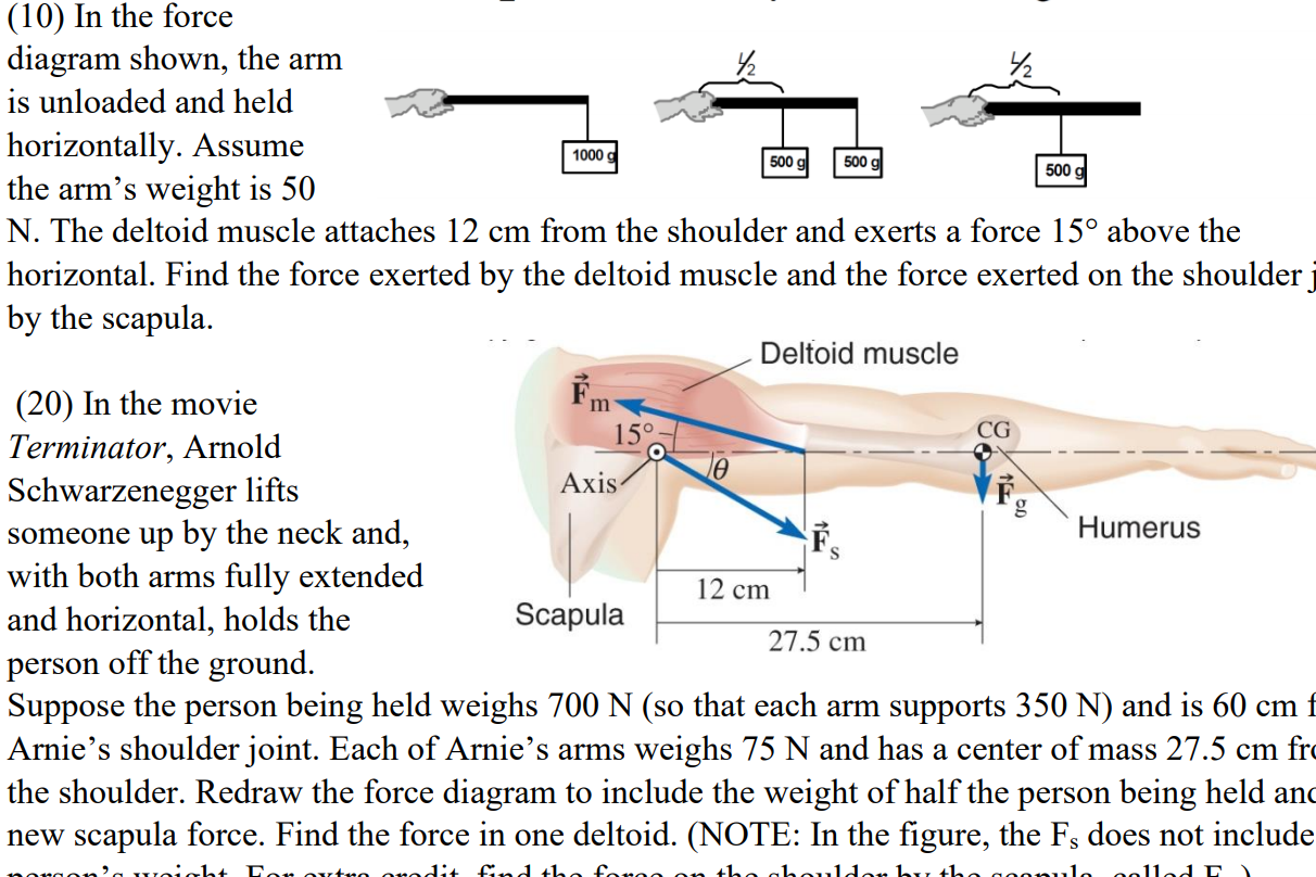 Solved 1000 500 g 500 g 500 g (10) In the force diagram | Chegg.com