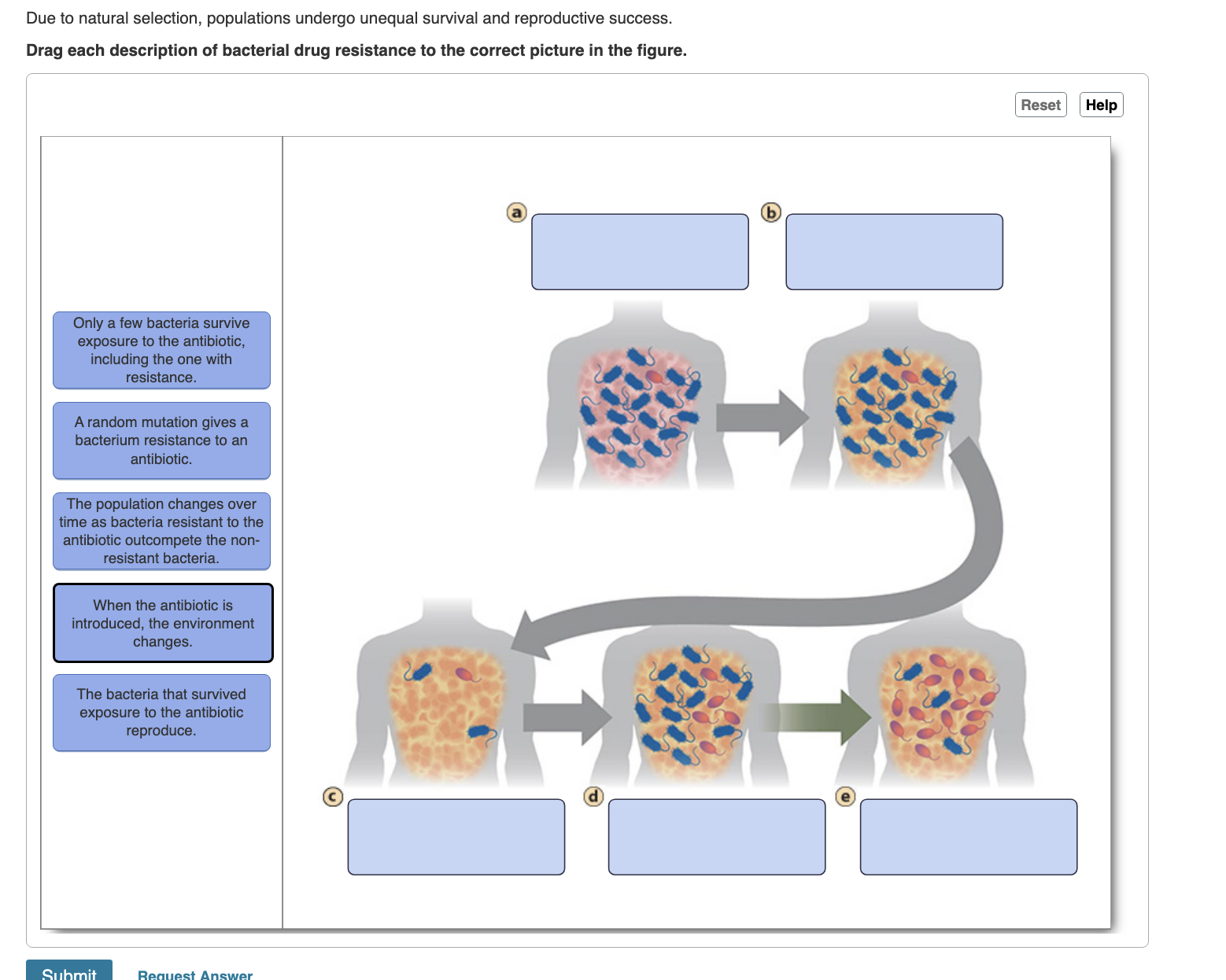 Solved Due To Natural Selection Populations Undergo Unequal