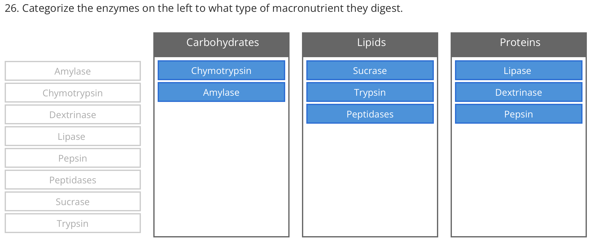 Solved Categorize the enzymes on the left to what type of | Chegg.com