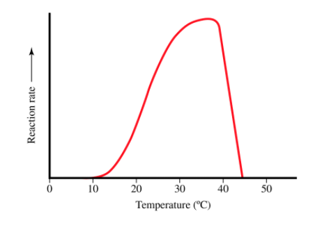 Solved The graph illustrates the reaction speed (rate) of | Chegg.com