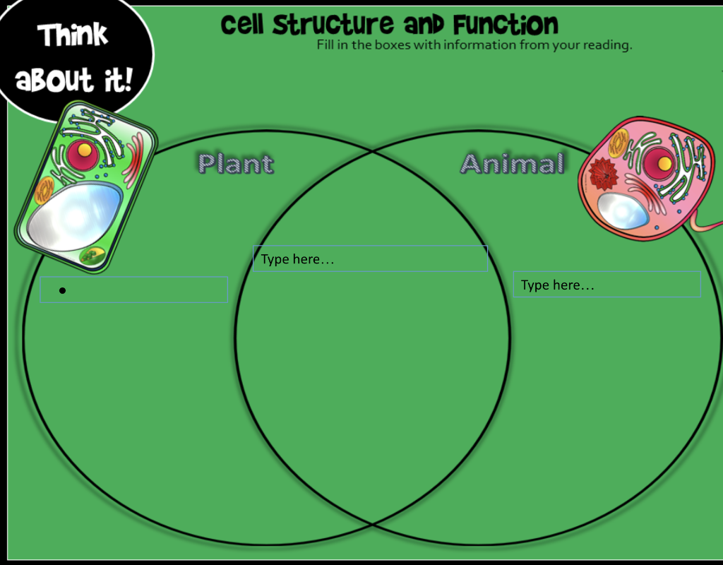 Plant Cell And Animal Cell Structure And Function