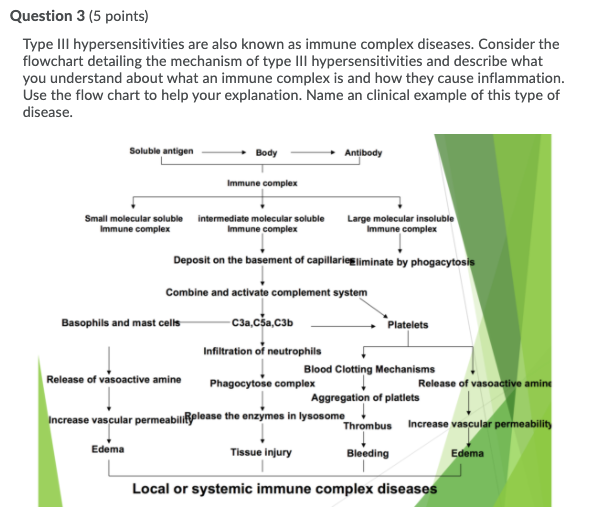 Solved Question 1 (5 points) Consider the flow chart below | Chegg.com