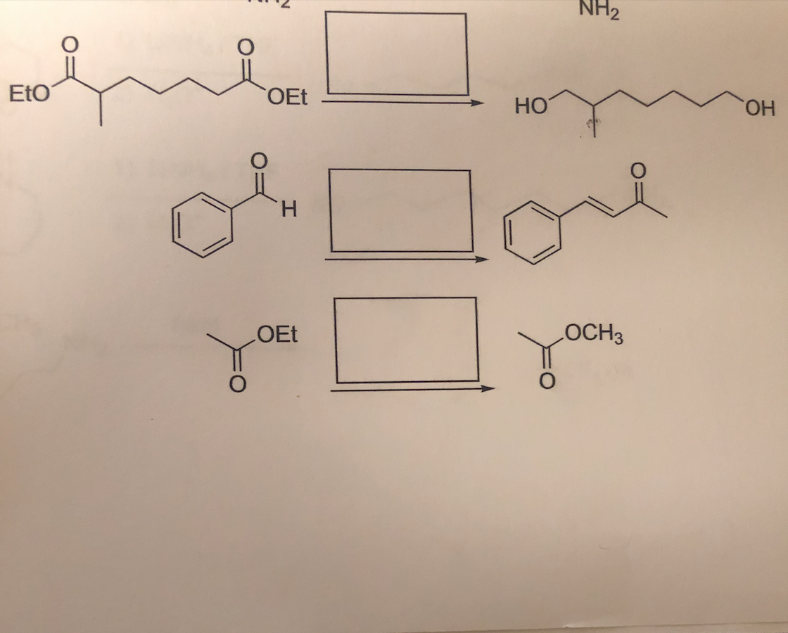 Solved NH2 Etc Ho Yo OH H LOCH3 | Chegg.com