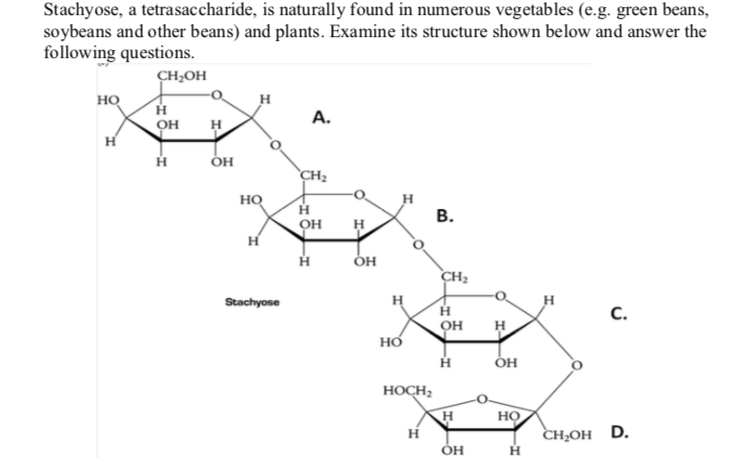 Solved Stachyose, a tetrasaccharide, is naturally found in | Chegg.com