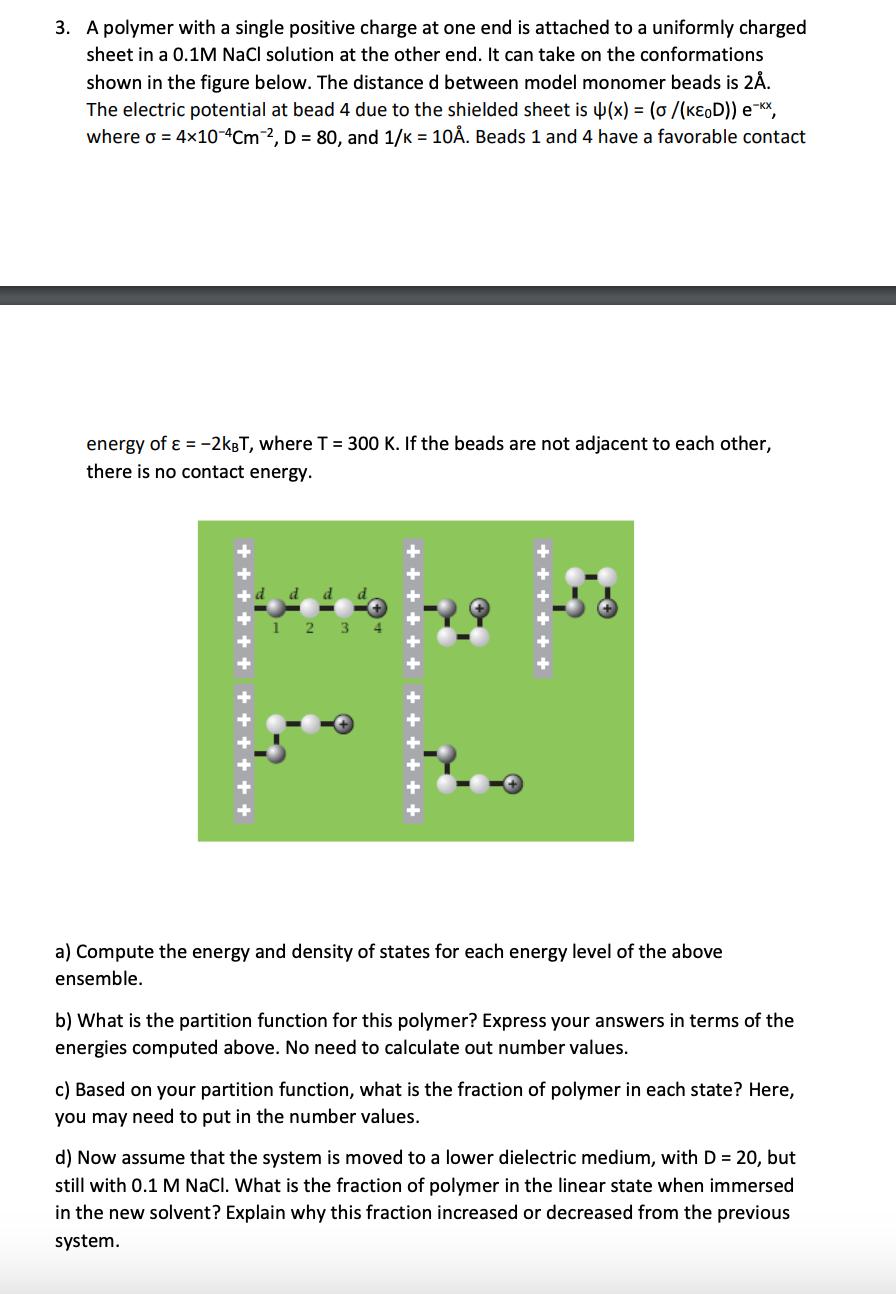 Solved A polymer with a single positive charge at one end is | Chegg.com