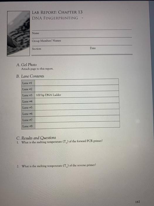 LAB REPORT: CHAPTER 13 DNA FINGERPRINTING A. Gel | Chegg.com