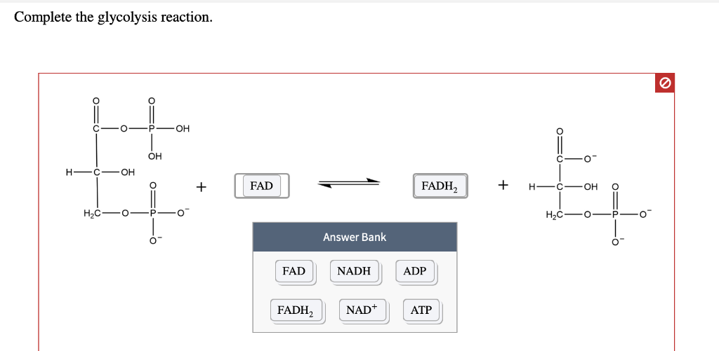 Solved Complete the glycolysis reaction OH OH H C OH FADH | Chegg.com