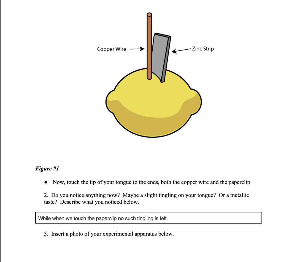Solved Time spent on Lab 04 = approximately 3 hours, does | Chegg.com