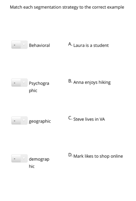 Solved Match each segmentation strategy to the correct | Chegg.com
