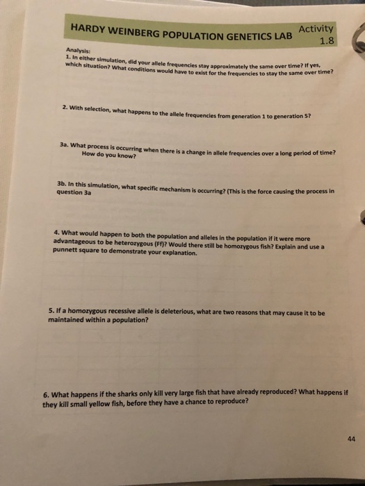 Solved HARDY WEINBERG POPULATION GENETICS LAB Activity 1.8 | Chegg.com