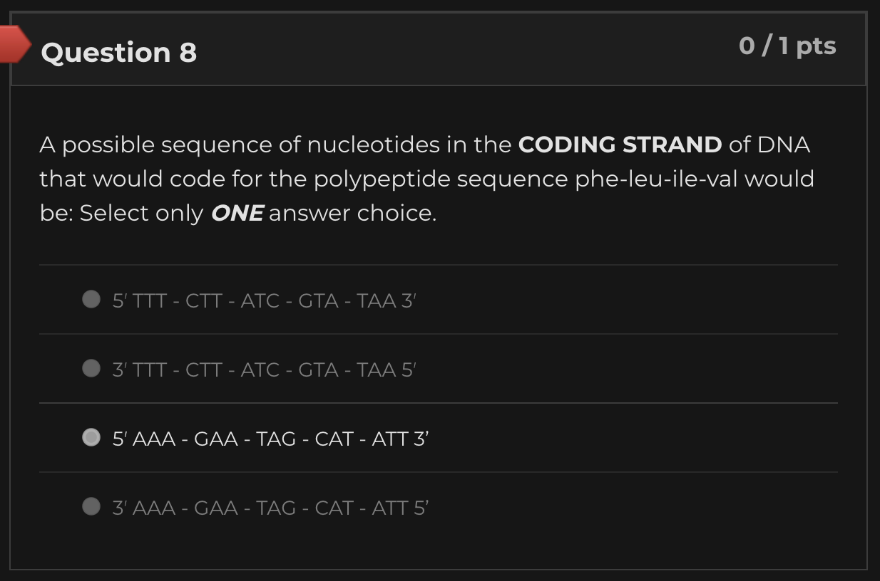 Solved Question 8A possible sequence of nucleotides in the | Chegg.com