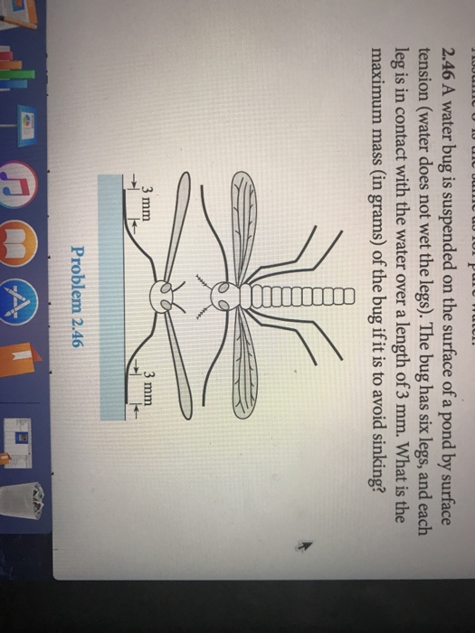 Solved A water bug is suspended on the surface of a pond by | Chegg.com Solved A water bug is suspended on the surface of a pond by | Chegg.com