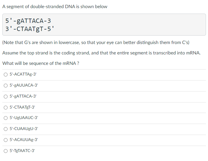 Solved A segment of double-stranded DNA is shown below | Chegg.com
