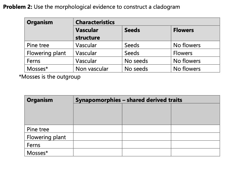 Solved Problem 1: Use the morphological evidence to | Chegg.com