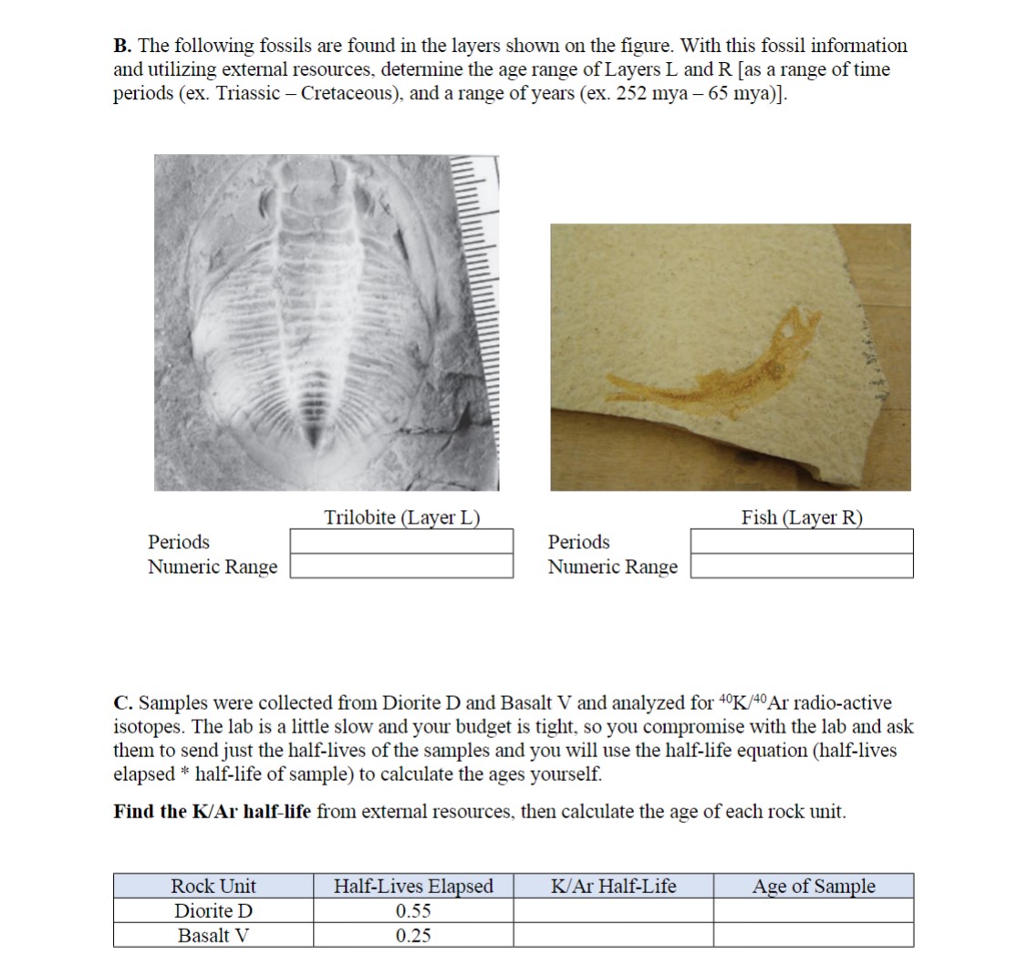 Solved B. The following fossils are found in the layers | Chegg.com