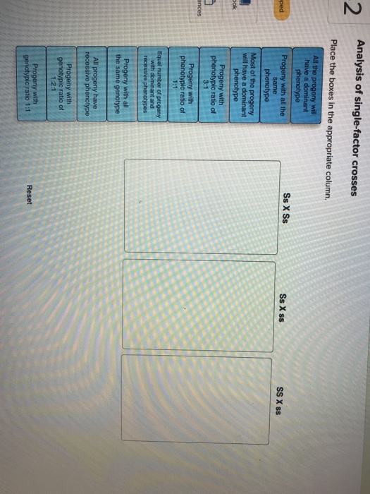 Solved Analysis of Crosses Given the following observed | Chegg.com