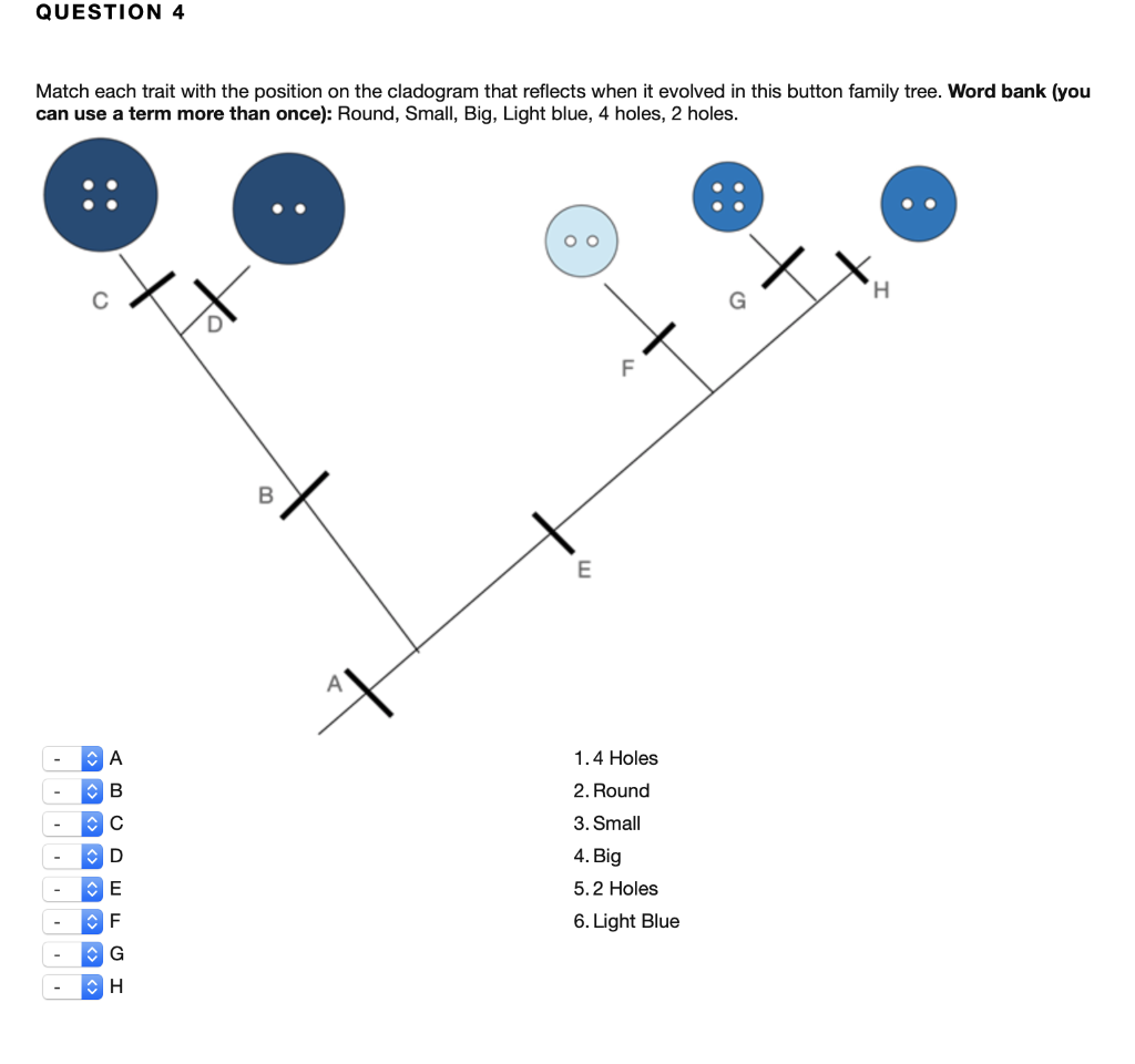 Solved Match each trait with the position on the cladogram | Chegg.com