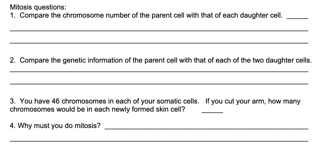 Solved Mitosis questions: 1. Compare the chromosome number | Chegg.com