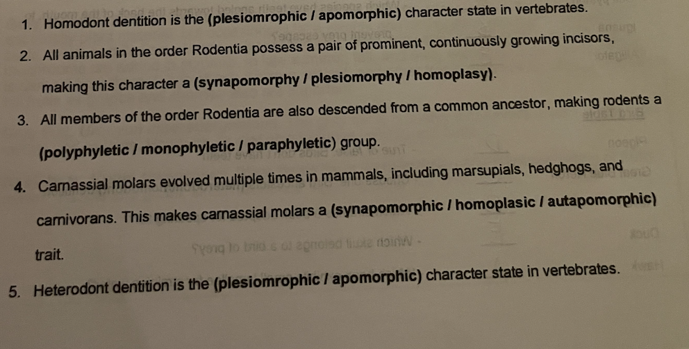 Solved 1 Homodont Dentition Is The Plesiomrophic