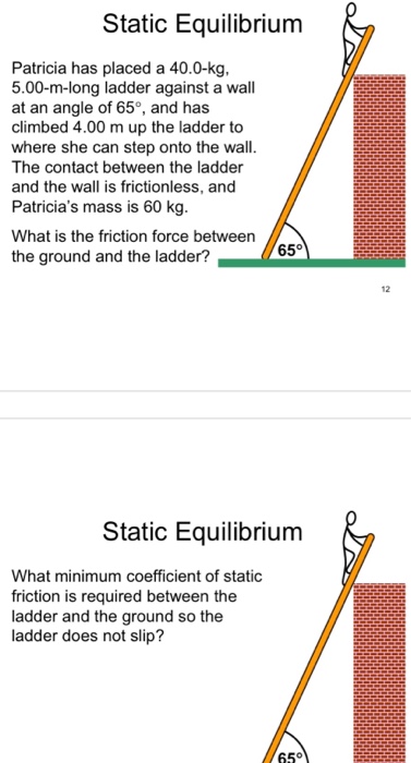 Solved Static Equilibrium Patricia has placed a 40.0-kg | Chegg.com