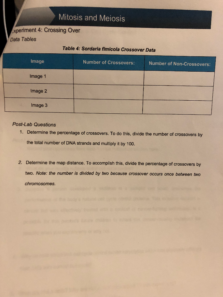 Mitosis and Meiosis xperiment 4: Crossing Over Data | Chegg.com