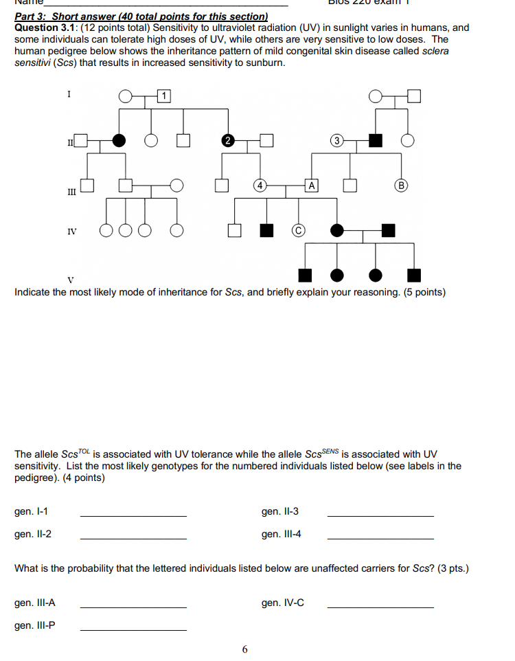 Solved Part 3: Short answer (40 total points for this | Chegg.com