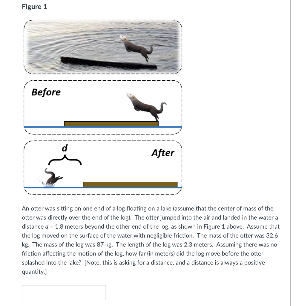 Solved Figure 1 Before After An otter was sitting on one end | Chegg.com