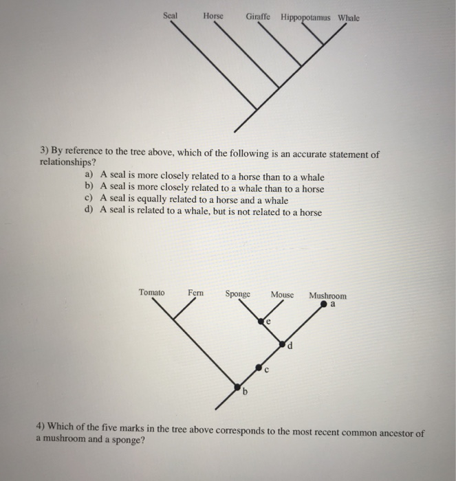 Solved Please answer both questions please! Serious | Chegg.com Solved Please answer both questions please! Serious | Chegg.com