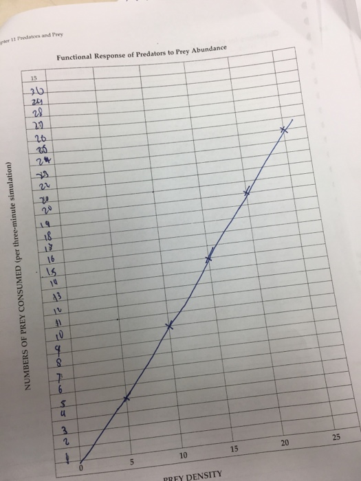 Predators And Prey Simulating Functional Response