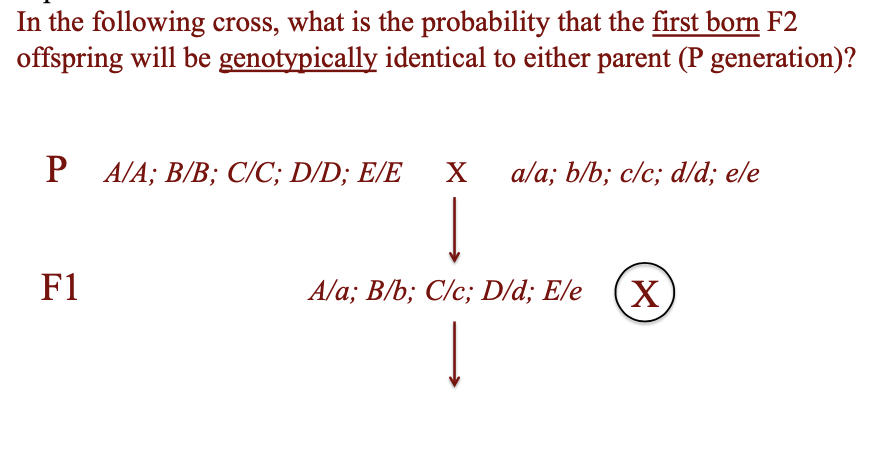 Solved In the following cross, what is the probability that | Chegg.com