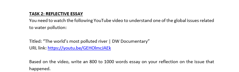Solved TASK 2: REFLECTIVE ESSAY You need to watch the | Chegg.com