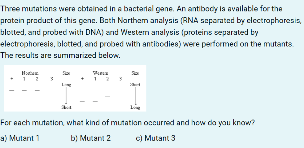 Solved Three mutations were obtained in a bacterial gene. An | Chegg.com