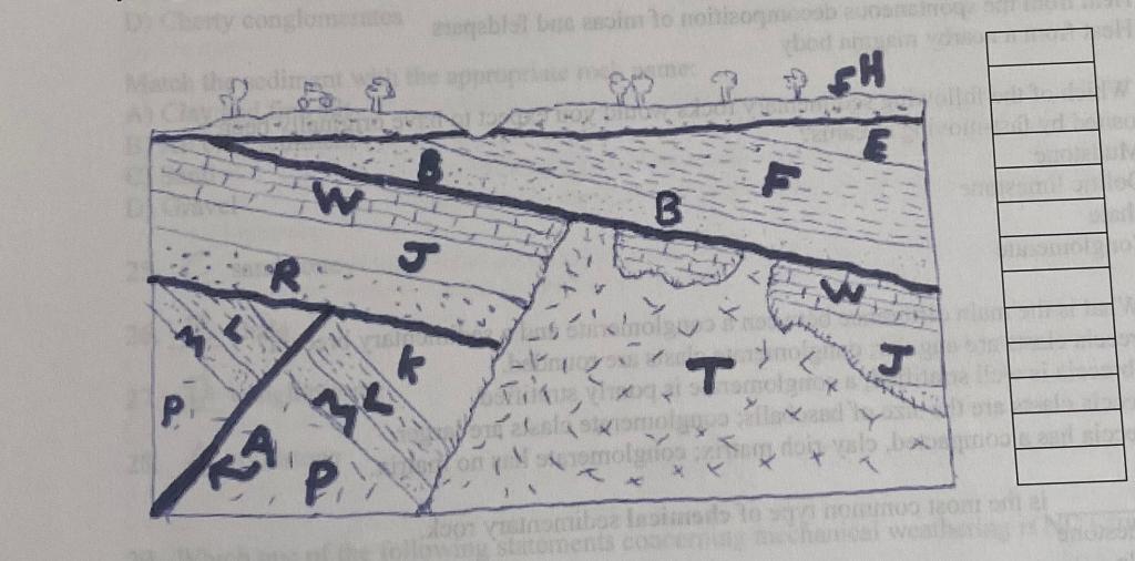 Solved Write the letter for the layer youngest on top, | Chegg.com