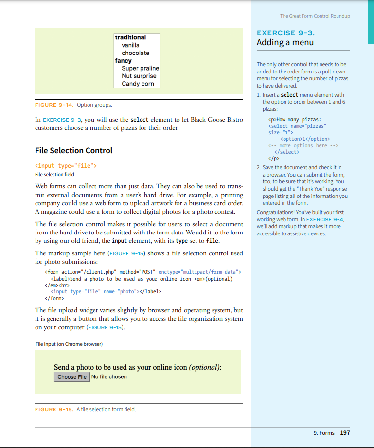 EXERCISE 9-1. Starting the pizza order form Here's | Chegg.com