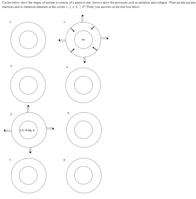 Solved Circles below show the stages of nuclear evolution of | Chegg.com