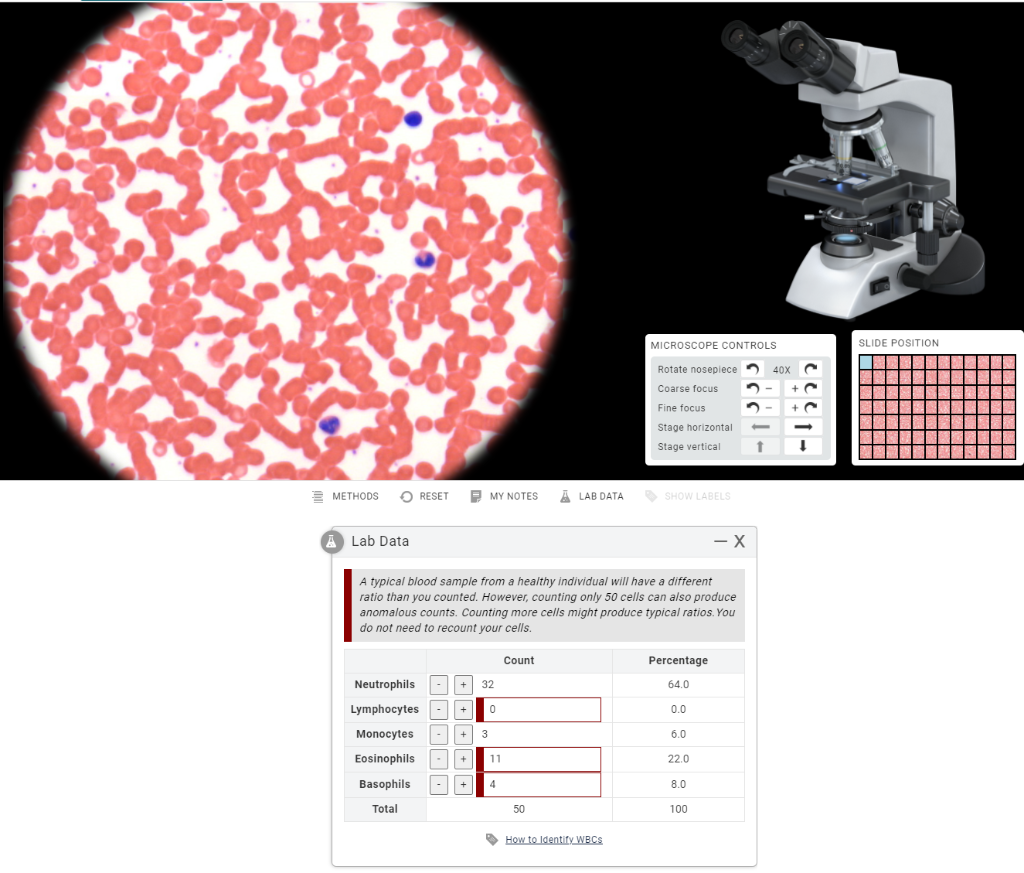 Solved MICROSCOPE CONTROLS SLIDE POSITION Rotate nosepiece | Chegg.com